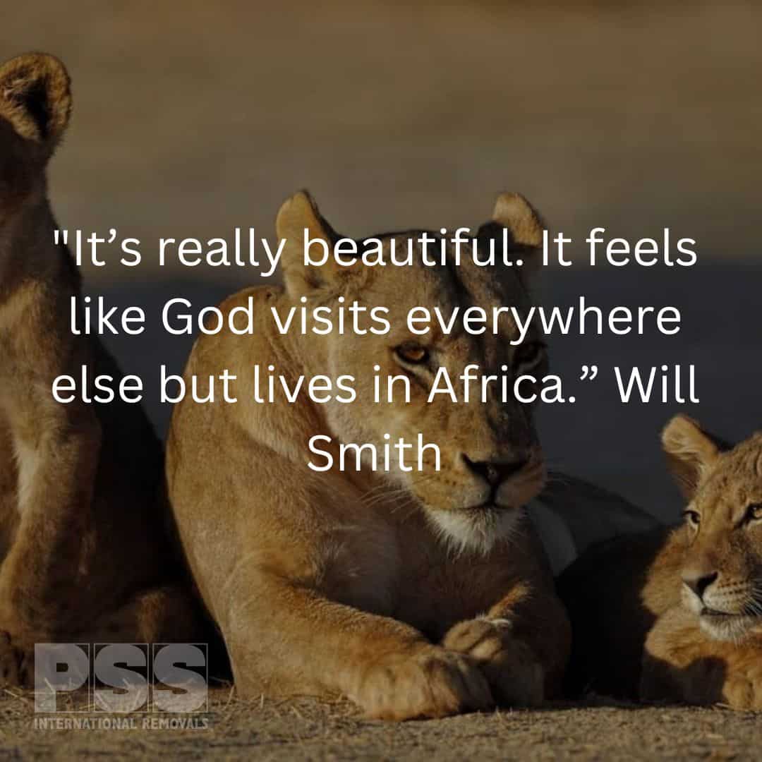 Best Quotes About South Africa To Inspire You To Visit Or Move